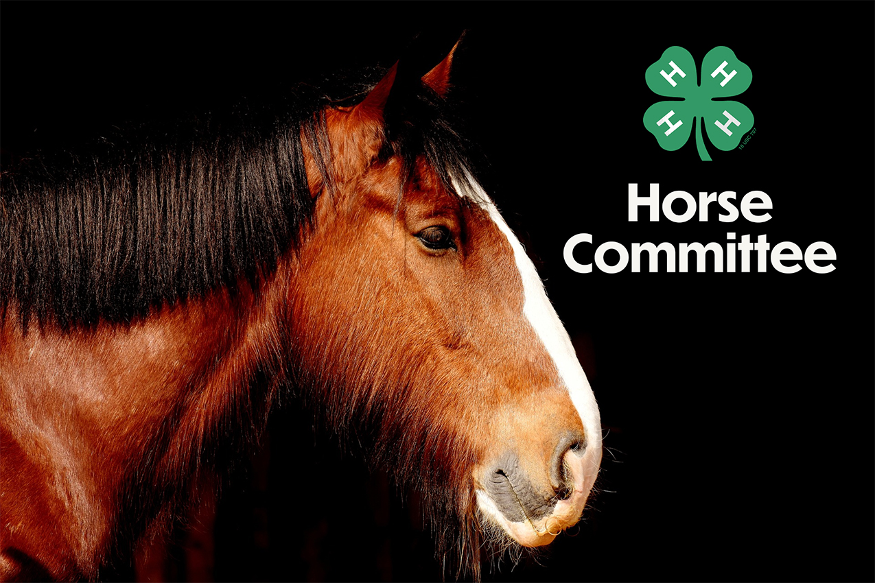 Horse Committee - Adams County 4-H